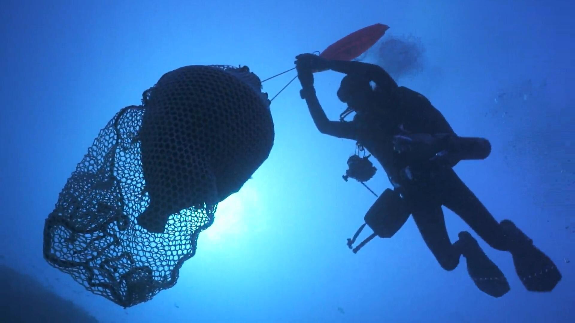 Diving In Aegean History 5165